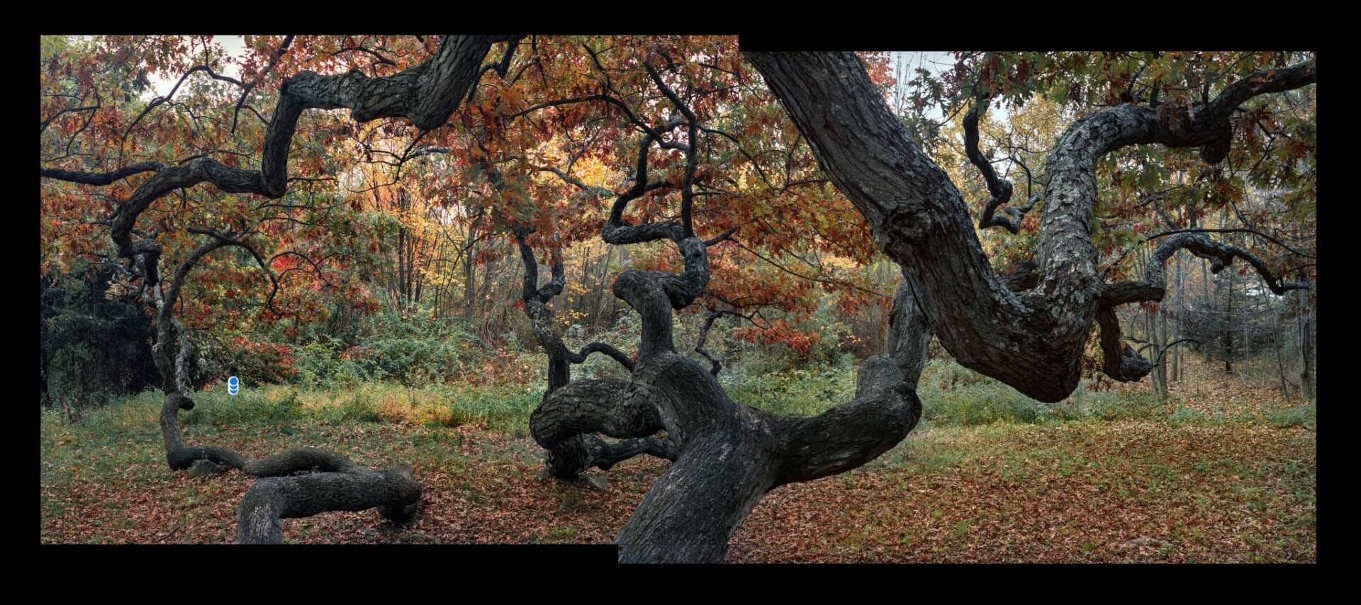 THE BUZZ: Powerful Portraits of Resilience: Capturing the Stories of ...